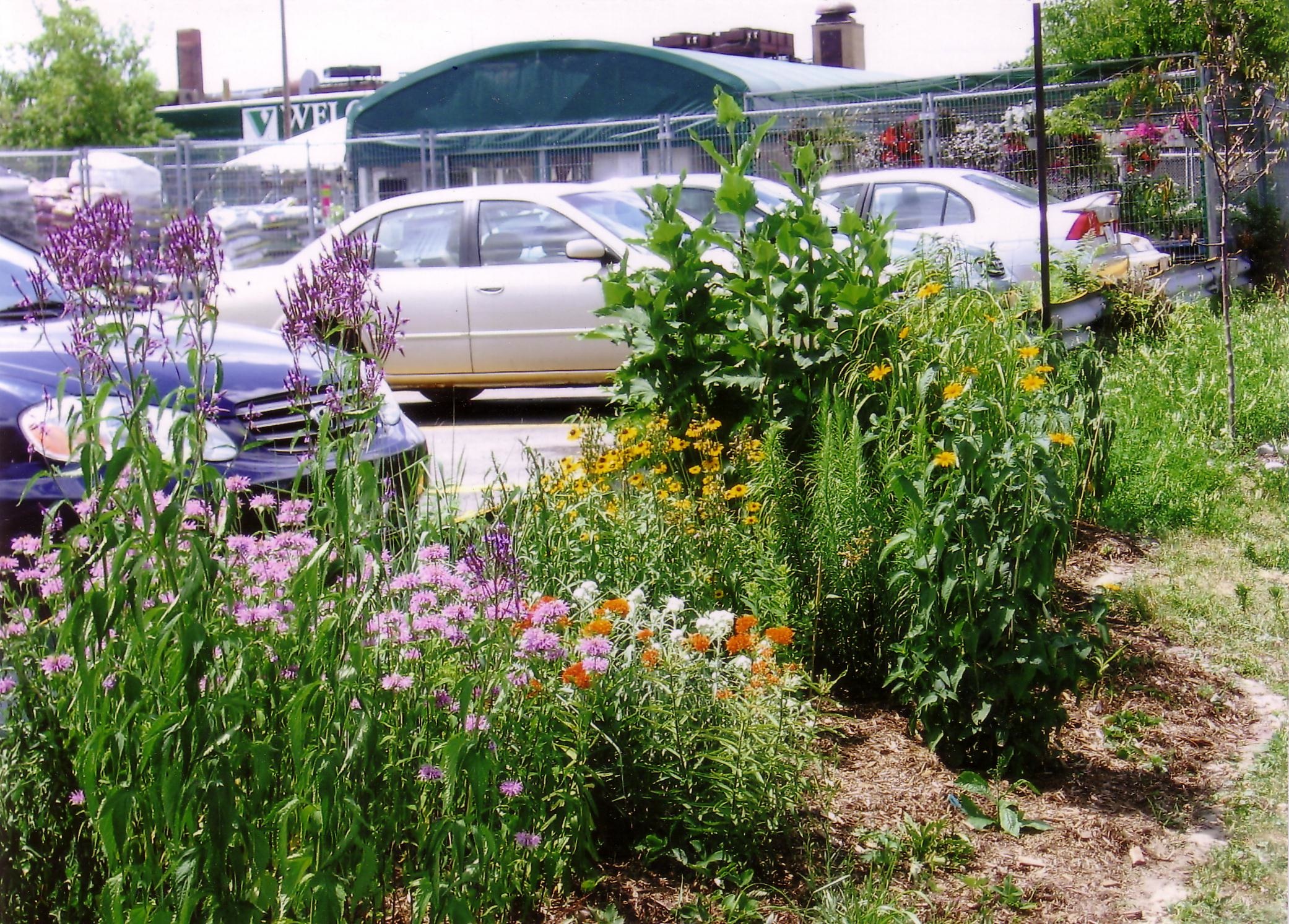 after – Danforth East Community Association