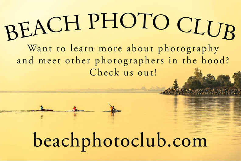 Calling all local photographers! – Danforth East Community Association